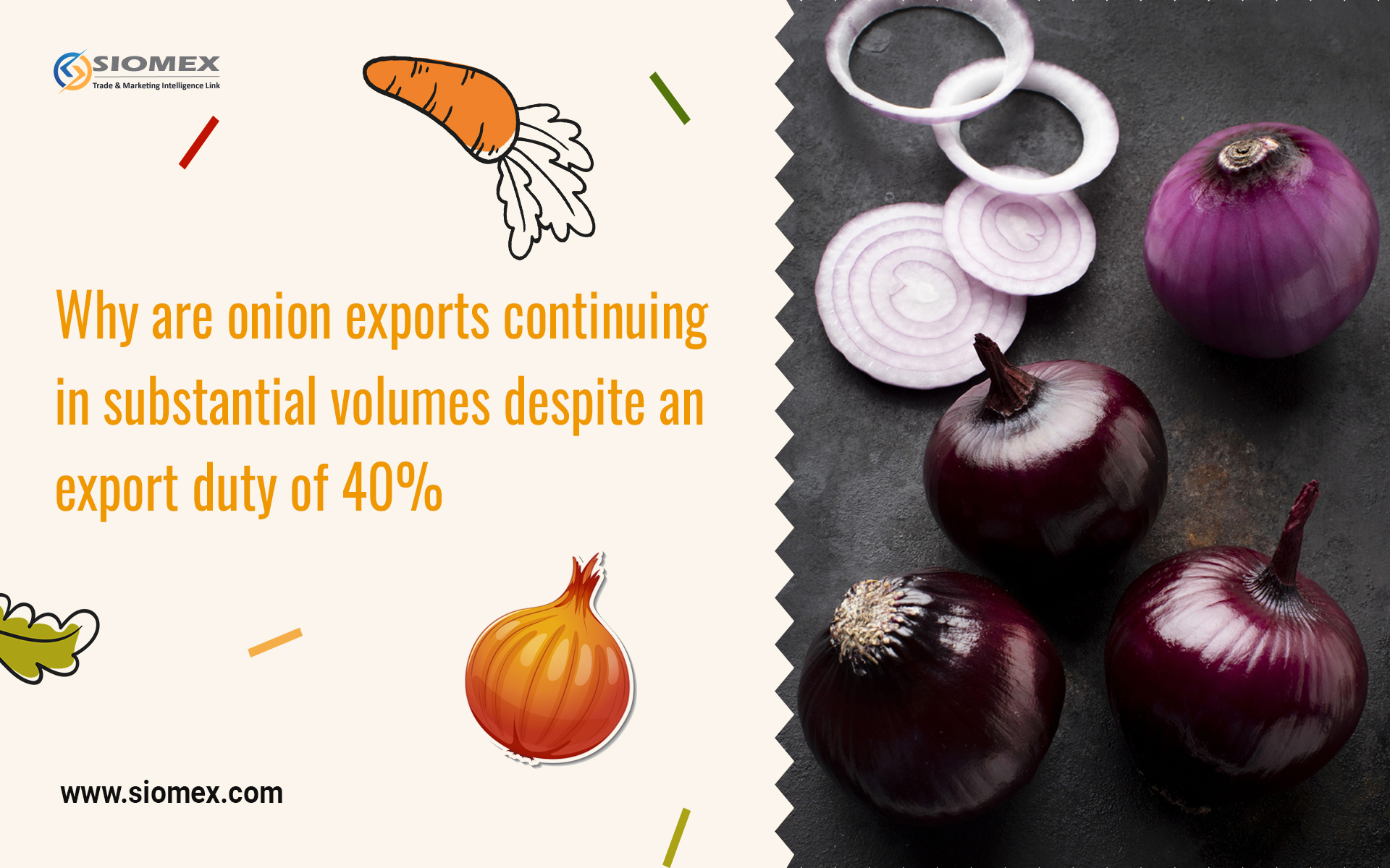 Why are onion exports continuing in substantial volumes despite an export duty of 40%? - Siomex