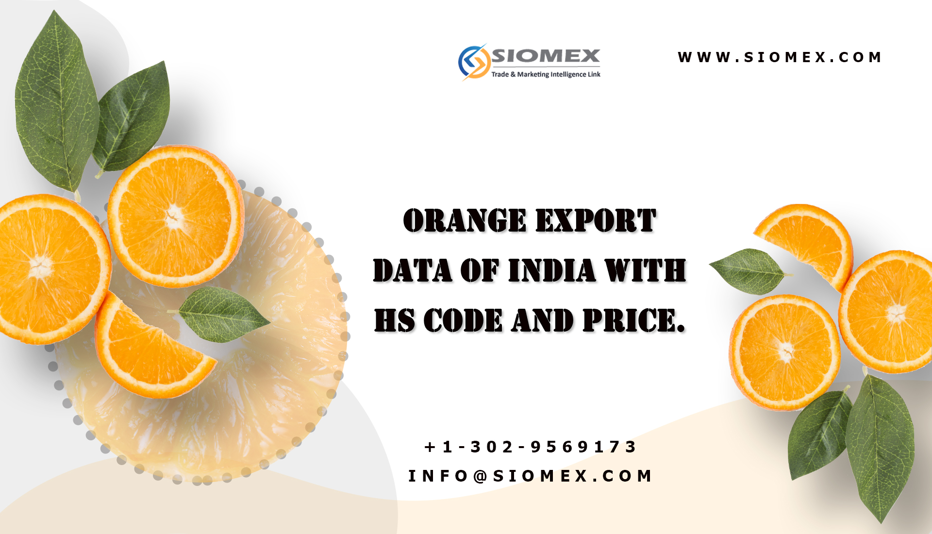 Orange Export Data of India with HS Code and Price. - Siomex