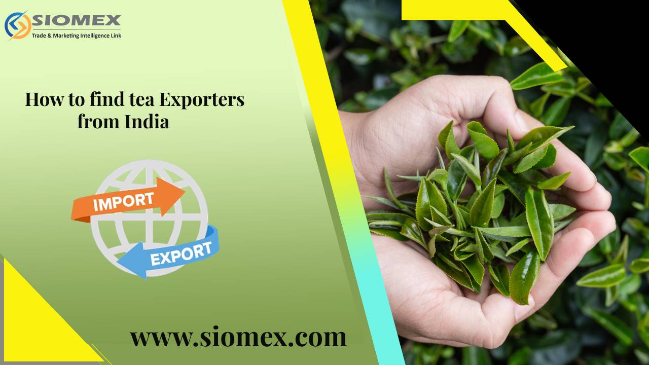 How to find tea Exporters from India - Siomex