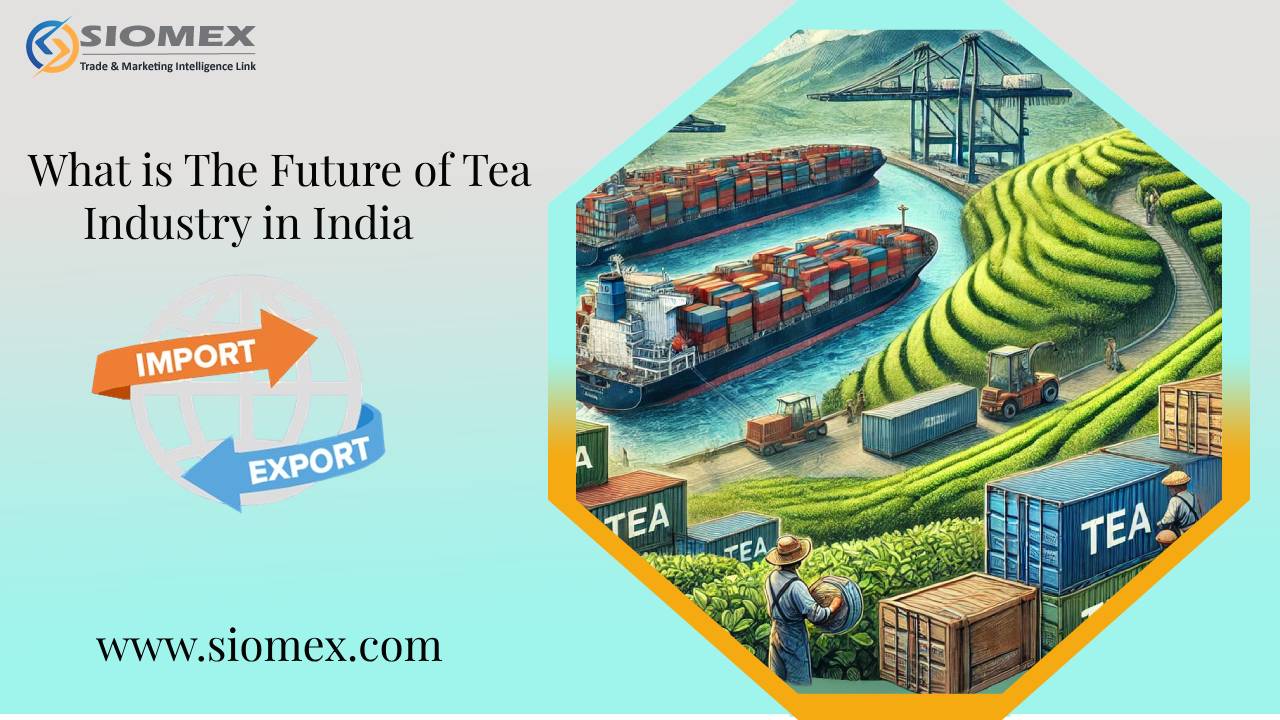 What is the future of tea industry in India