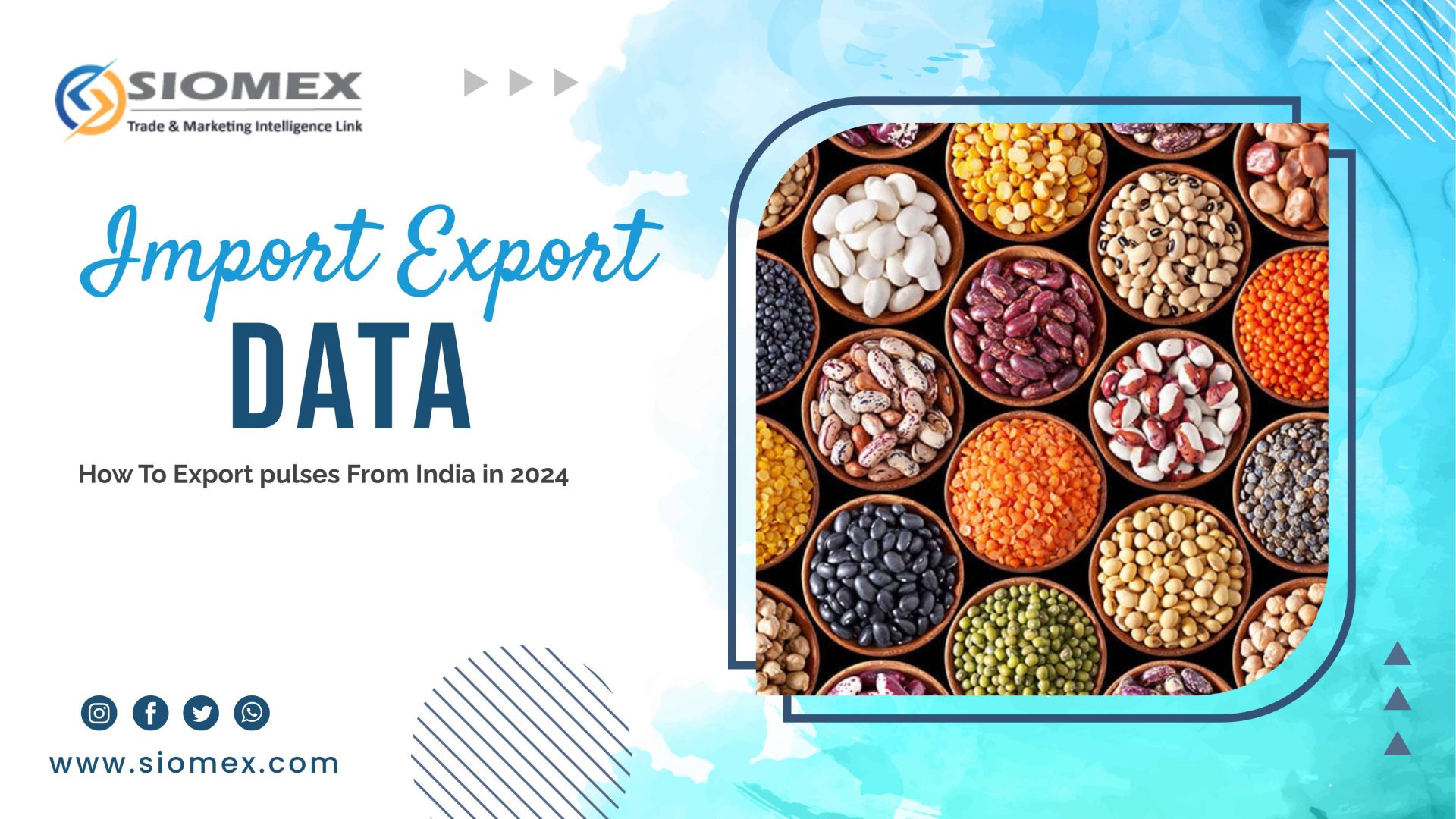 How To Export pulses From India in 2024 - Siomex